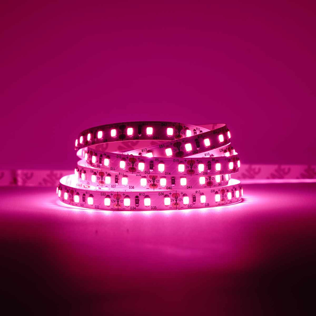 Classic 120 LED Strip 12V (2nd Gen) | 9.6W/m | 5 Year Warranty ...